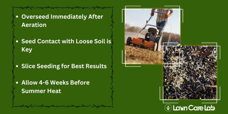 Lawn Care Practice through Aeration and Overseeding in Spring. - Lawn ...