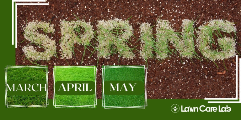 Lawn Care Practice through Aeration and Overseeding in Spring. - Lawn ...