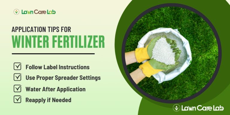 Winter Fertilizer for Lawns: When and How to Feed Grass Before Winter ...
