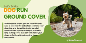Brilliant Ideas for Dog Run Ground Cover: From Gravel to Crushed ...