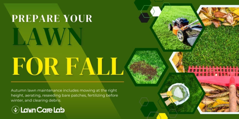Complete Fall Lawn Care Guide: September Maintenance Tips for a Healthy Yard - Lawn Care Lab