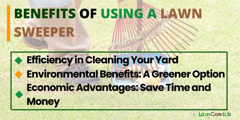Save Time and Effort With a Lawn Sweeper: the Game-Changing Yard Tool ...