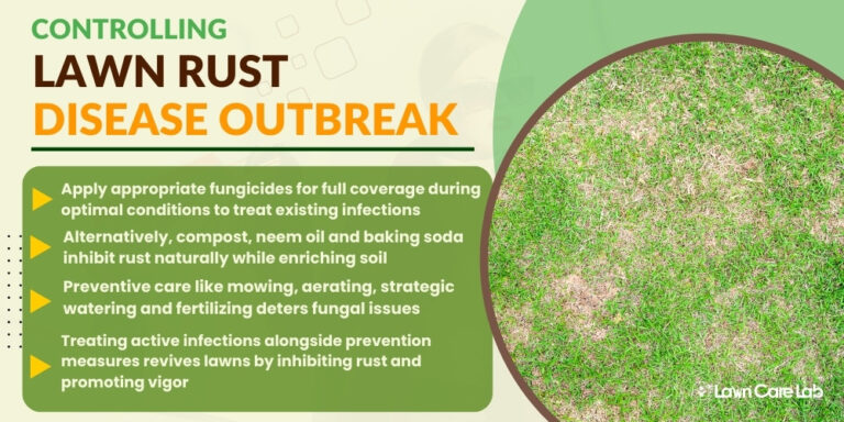 Stop Lawn Rust in Its Tracks: Prevention and Treatment Tips - Lawn Care Lab