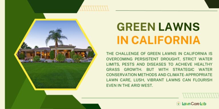 Oasis in the Arid West: Cultivating Green Lawns in California - Lawn ...