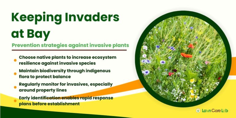 Winning the Turf War: Effective Strategies Against Invasive Plants ...