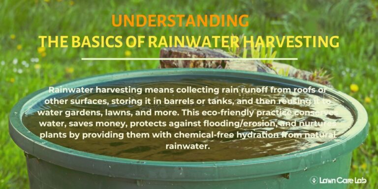 Implement Rainwater Harvesting: Discover A Game Changer for Your Lawn ...