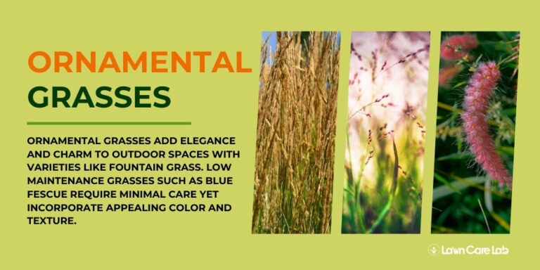 Innovative Ways to Incorporate Ornamental Grasses into Your Lawn Design ...