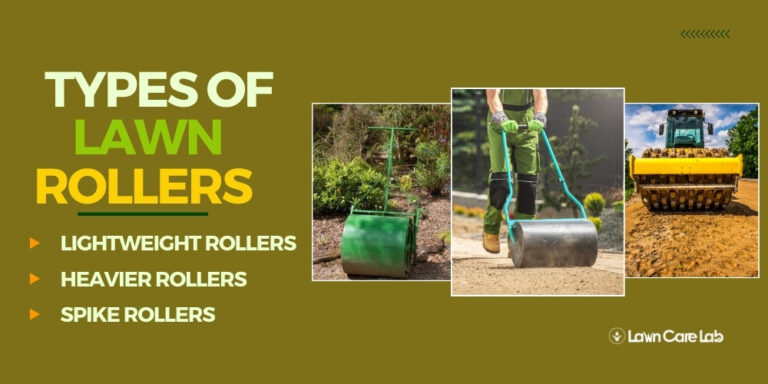 Lawn Roller Strategies for Rolling a Perfect Landscape - Lawn Care Lab