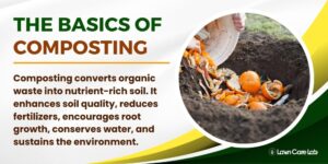 Composting 101: Transform Household Waste into Powerful Lawn Nutrients ...