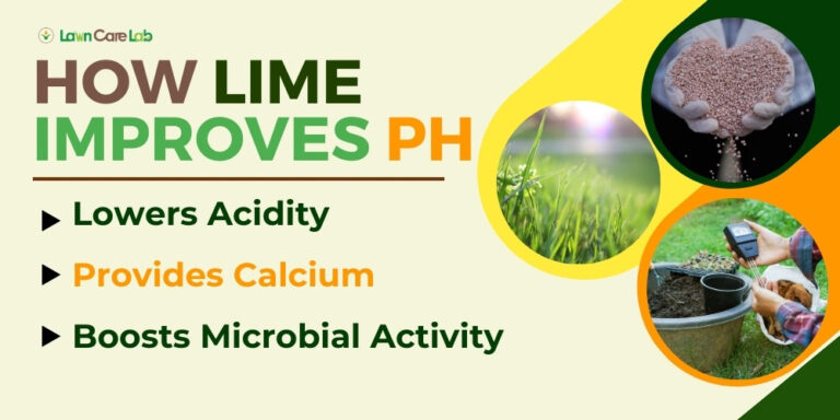 Liming Lawn Care: When and Why to Apply Lime - Lawn Care Lab