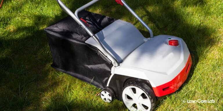 Top 10 Must-Have Lawn Tools for Every Lawn Enthusiast - Lawn Care Lab