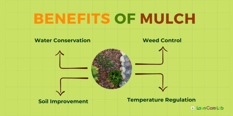 Benefits of Different Types of Mulch and How to Apply Them - Lawn Care Lab