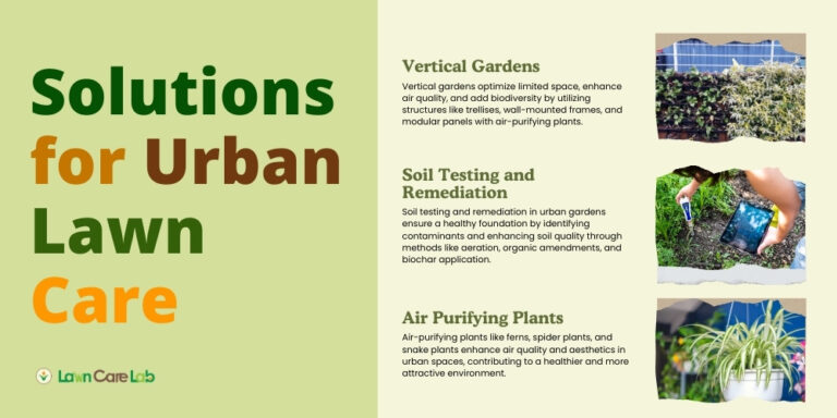 Unique Challenges and Solutions for Urban Lawn Care - Lawn Care Lab