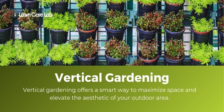 How to Incorporate Vertical Gardening Into Your Lawn Design - Lawn Care Lab